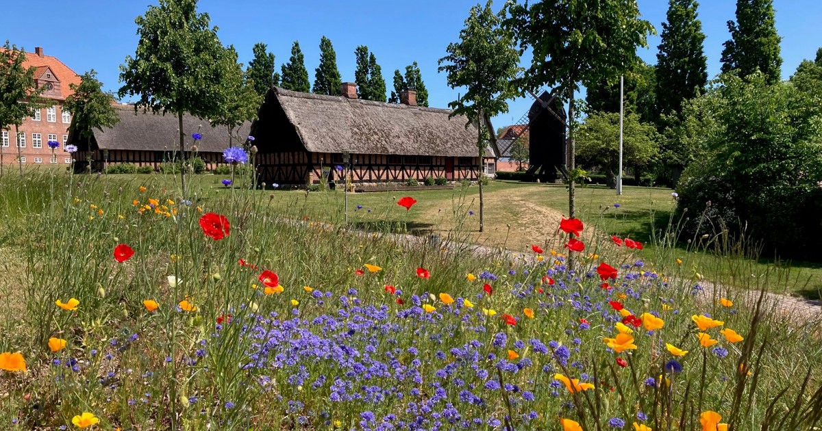Archäologisches Museum Haderslev – Geschichte & Freilichtmuseum