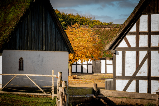Freilichtmuseum Hjerl Hede - Kulturhistorisches in Jütland