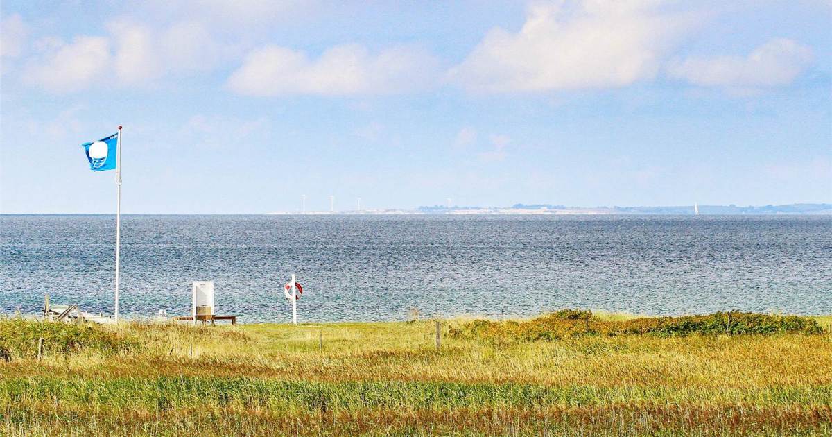 Buche Ferienhaus Stoense Udflyttere auf Langeland, Dänemark günstig