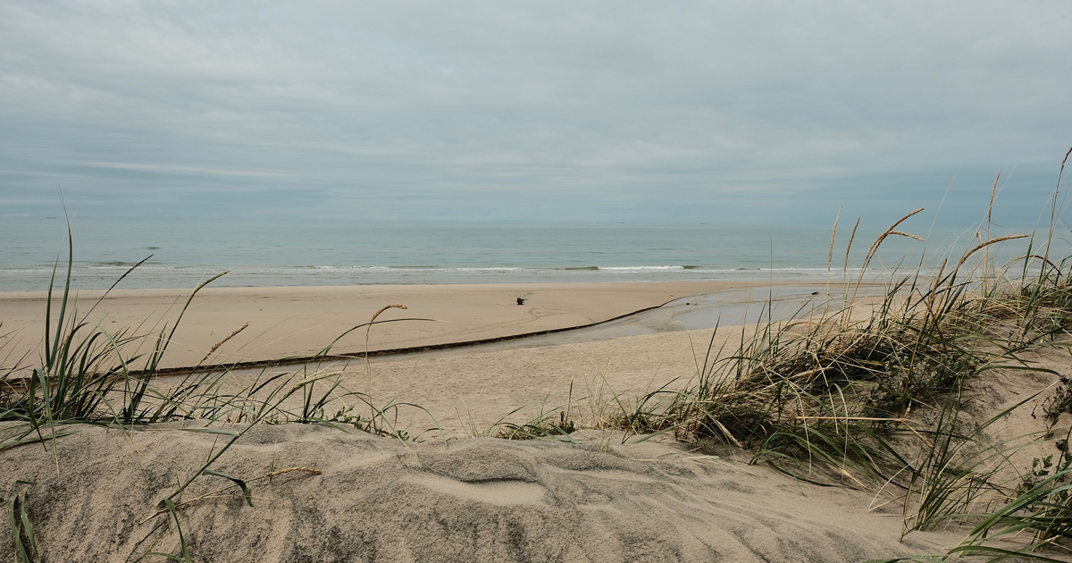 Ferienhaus Tversted ᐅ Urlaub in Tversted, Dänemark buchen