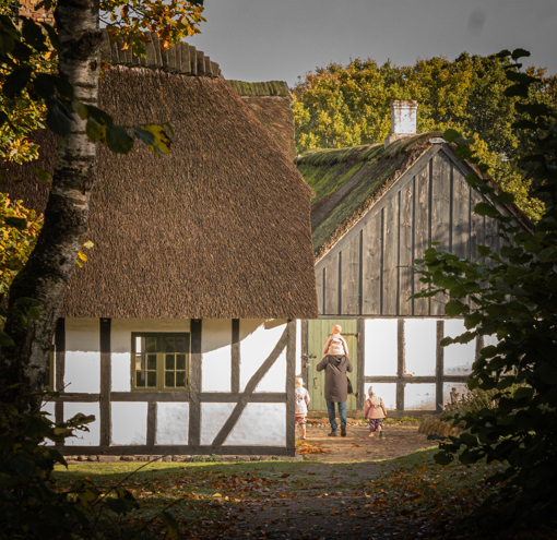 Freilichtmuseum Hjerl Hede - Kulturhistorisches in Jütland