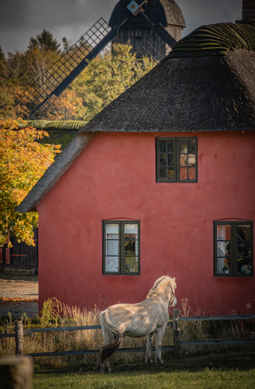 Freilichtmuseum Hjerl Hede - Kulturhistorisches in Jütland