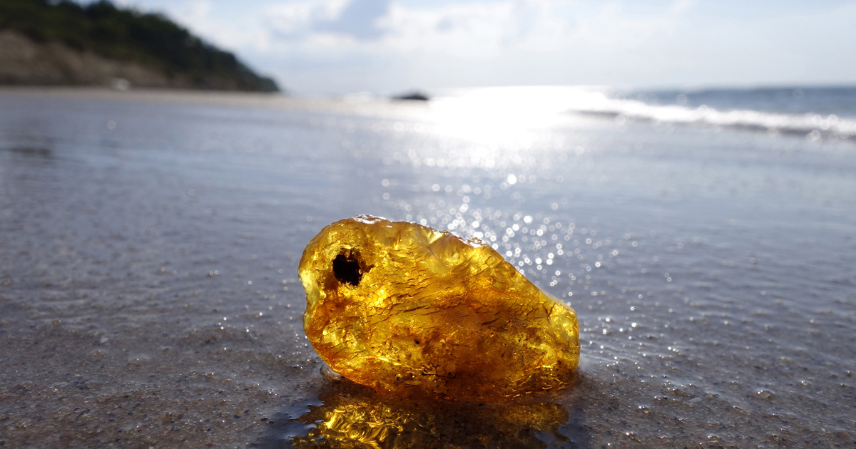 Bernsteine suchen und finden in Dänemark