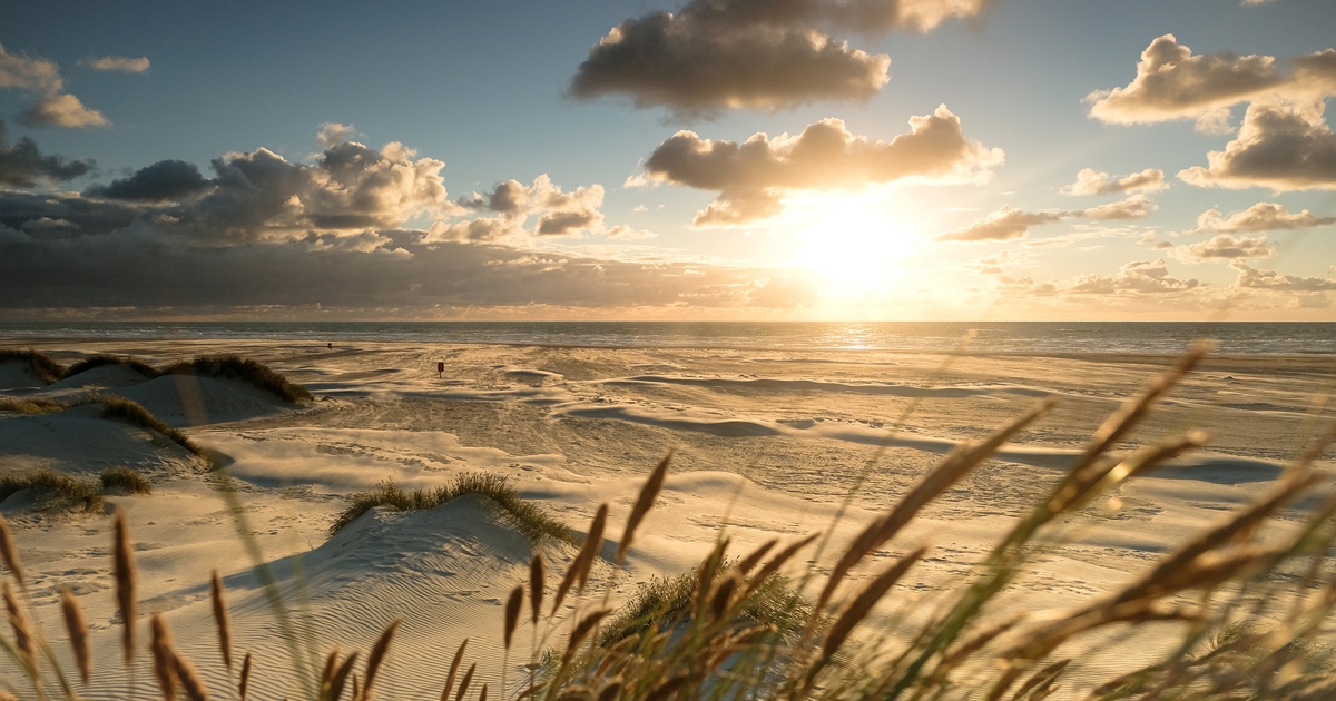 Tranum Strand → Miete Ferienhaus in Tranum Strand